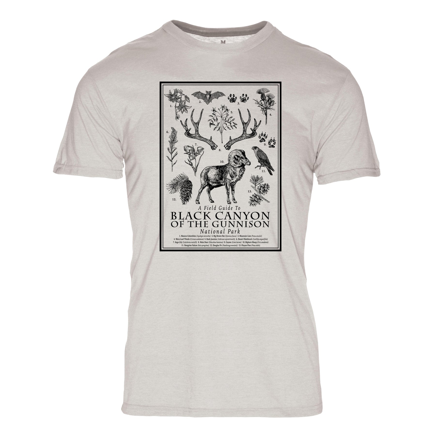 Field Guide – American Backcountry